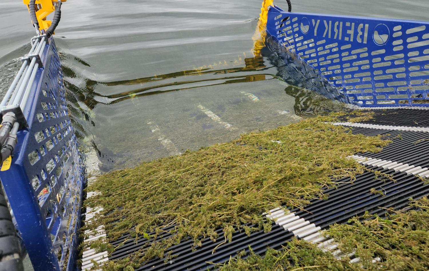 Berky Big Weed Harvester Triton 1500